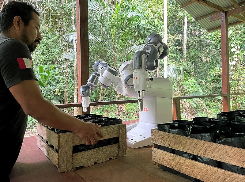 ABB Robotics and Junglekeepers Combat Deforestation, One Cobot at a ...