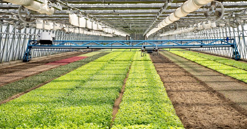 Latest Industry Partnerships Advance Agriculture With AI-Driven ...