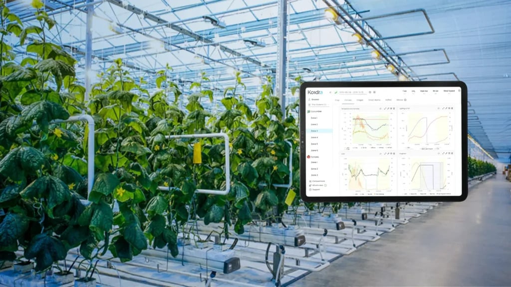 Trial Partnership Tests AI-Powered Technology To Automate Greenhouses ...
