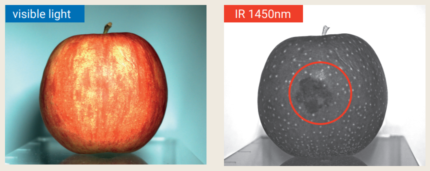 Omron Automation Introduces Its Latest Short-wave Infrared Camera - News