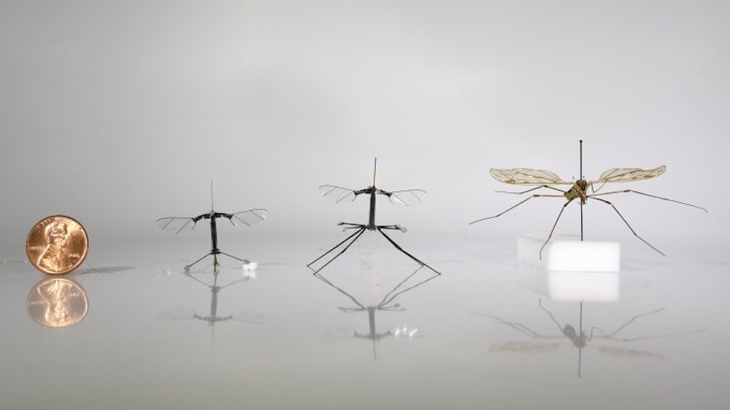 RoboBees and Smart Tractors Advance Agri-Robotics Tech - News