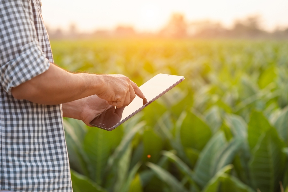 Weathering the Challenge of Long-Range Data Communications