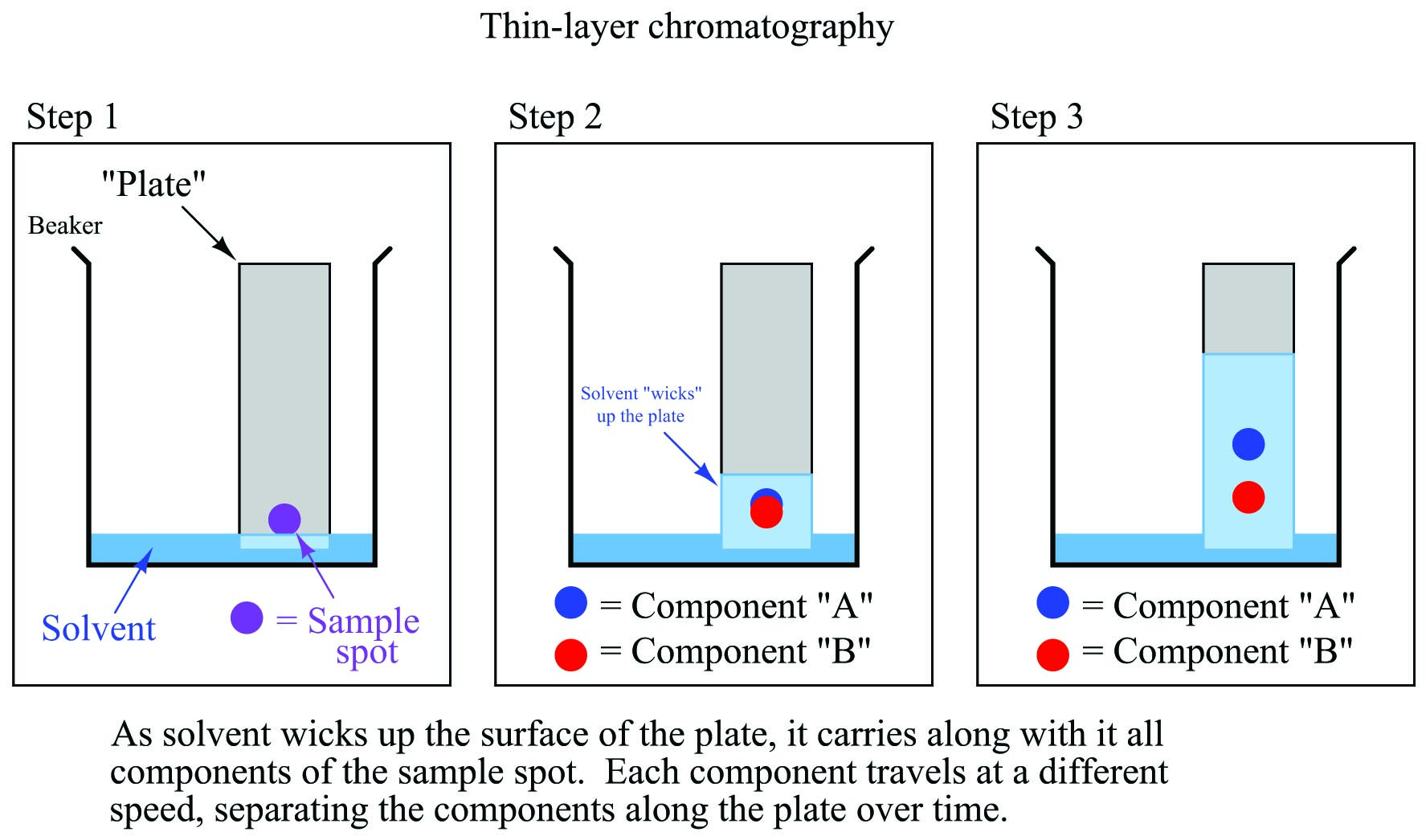 Chromatography Methods Chromatography Methods
