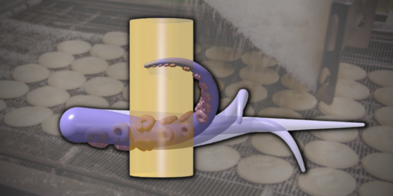 New Study on Soft Robotics Takes Inspiration From Octopus Arm Muscles ...