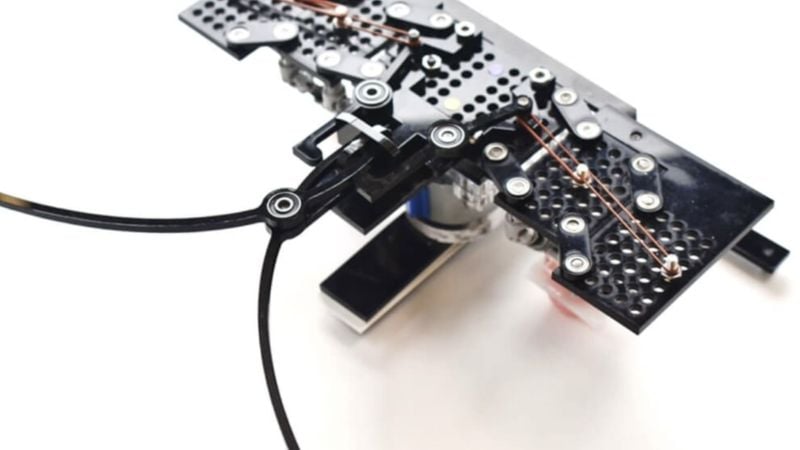 Researchers Develop “Brainless” Rubber Band-Powered Robots - News